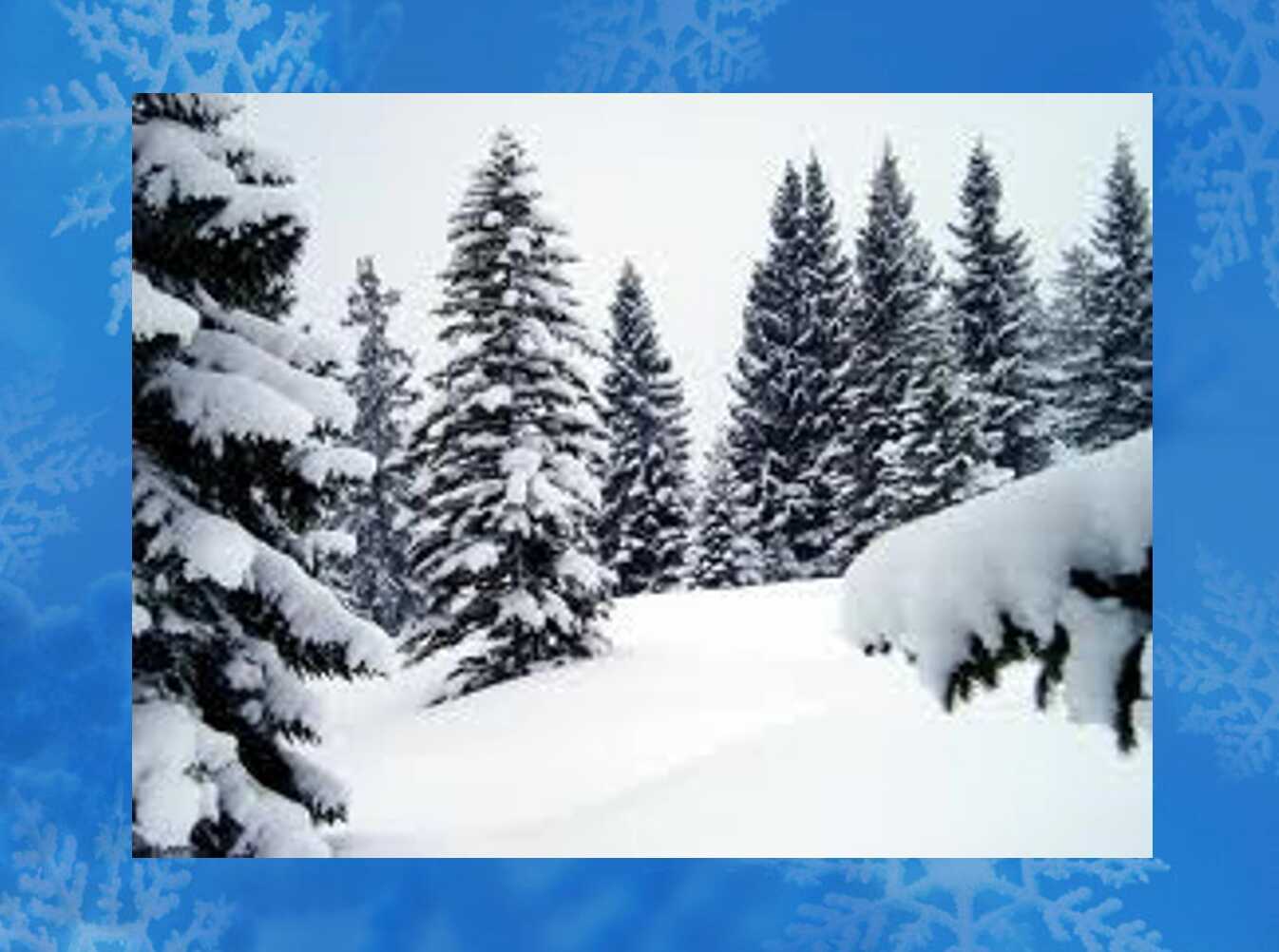 SPO - ŽIVALI POZIMI, ZAPIS O ZIMI