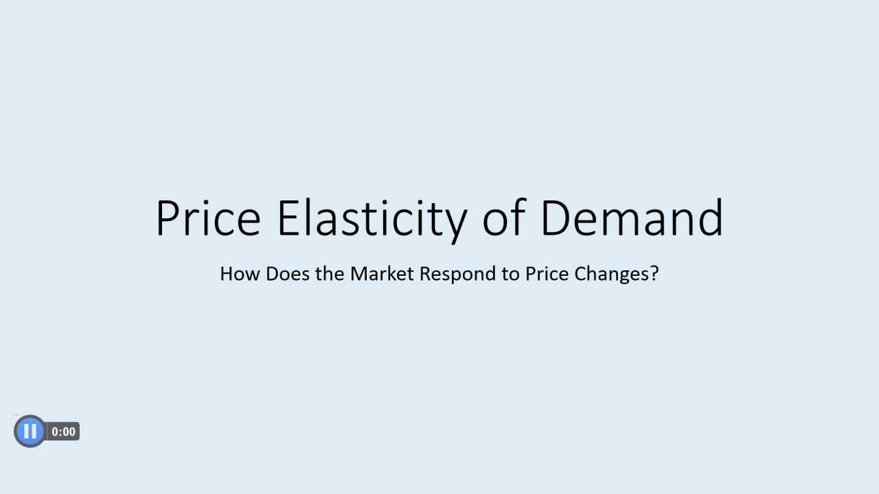 Understanding Price Elasticity of Demand
