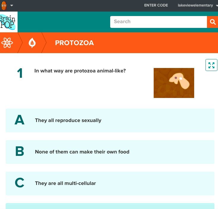 Brainpop Protozoa answers 