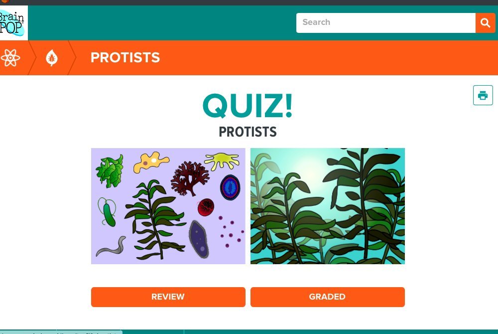 Brainpop: Protists (answers)