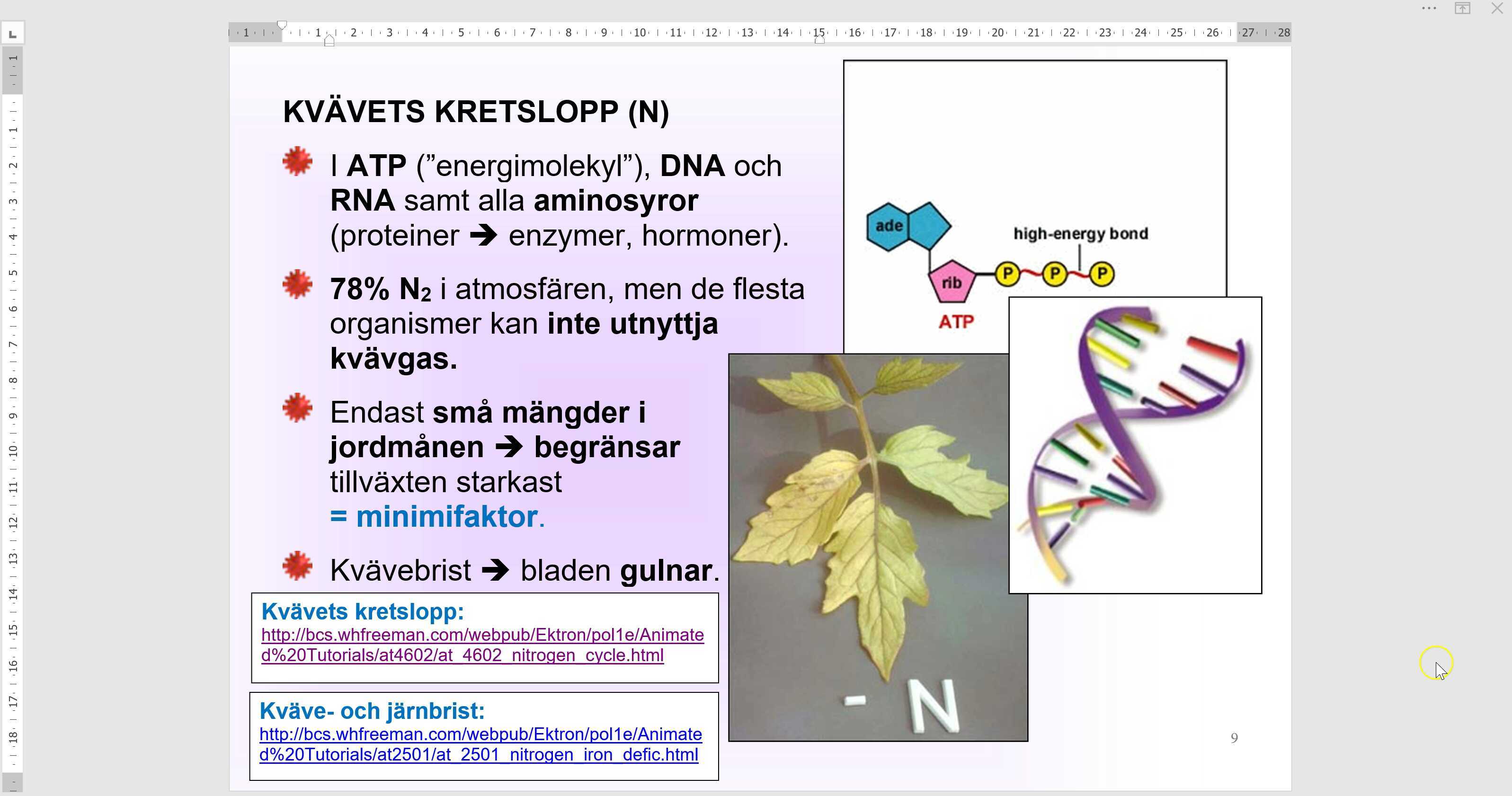 Kvävets kretslopp (N), Lotta Järnström