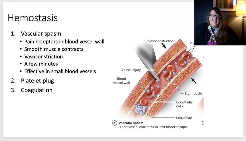 Blood 5 Hemostasis pt 1