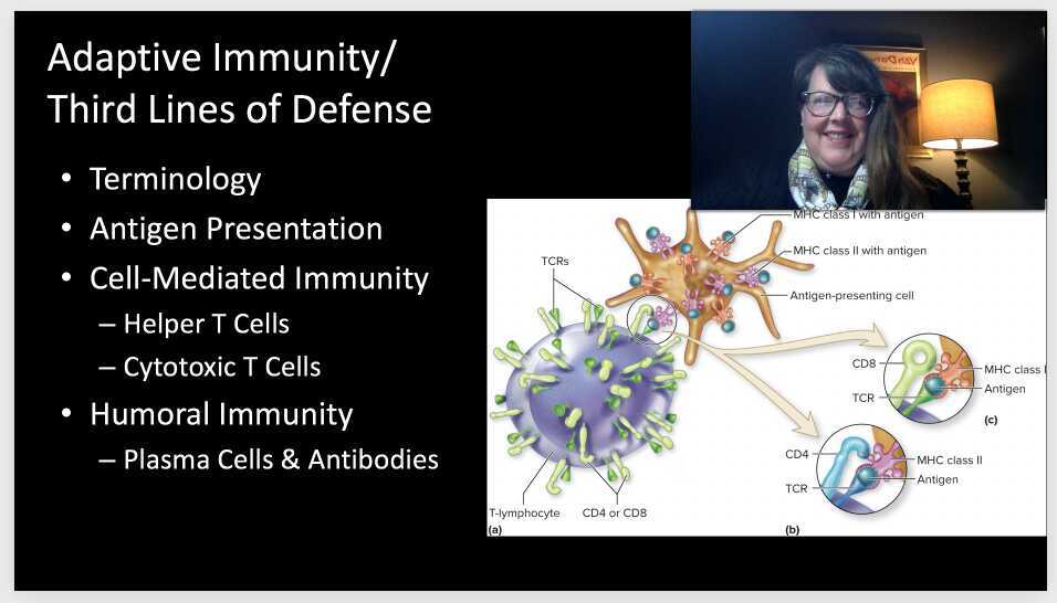 Immunity 5 Intro to Adaptive Immunity