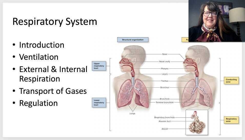 Respiratory 1 Intro & Ventilation
