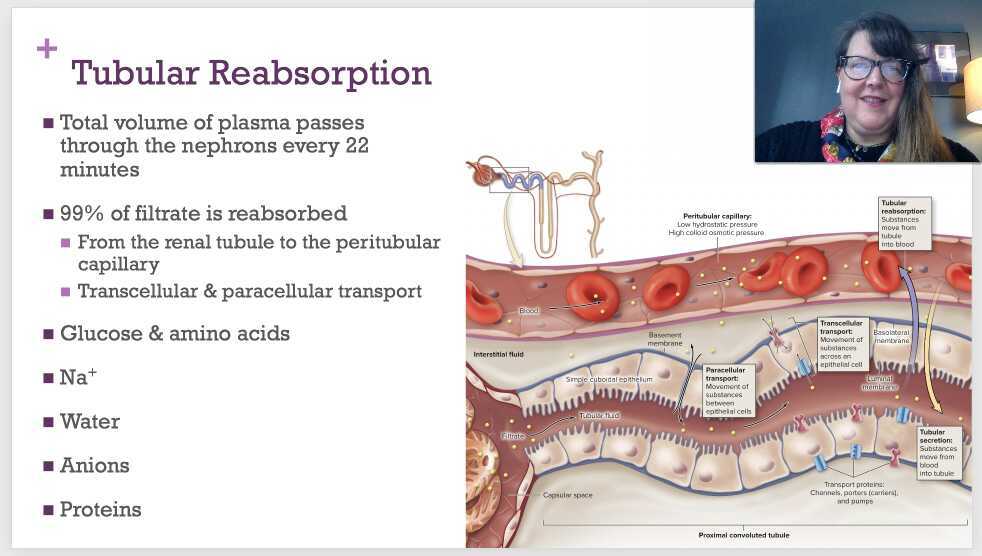 Urinary 4 Tubular Reabsorption