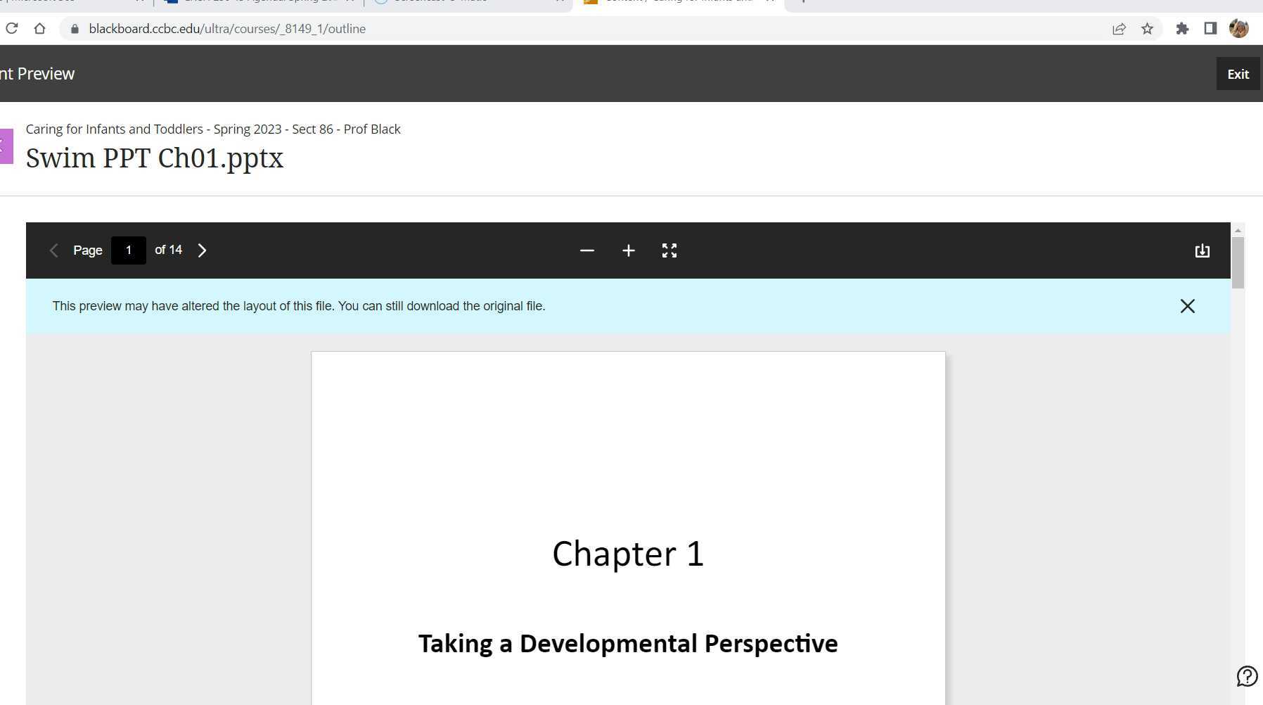 CH 1 Infant Toddler lecture