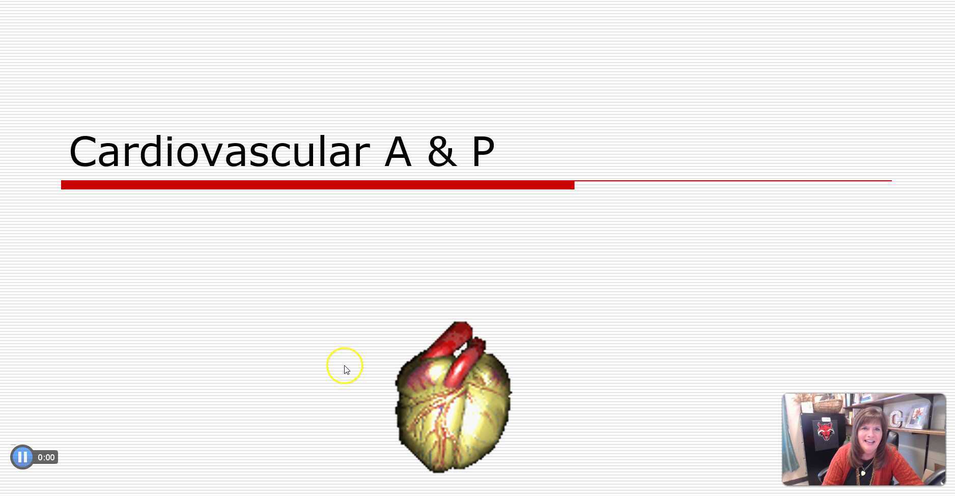Cardiovascular A and P