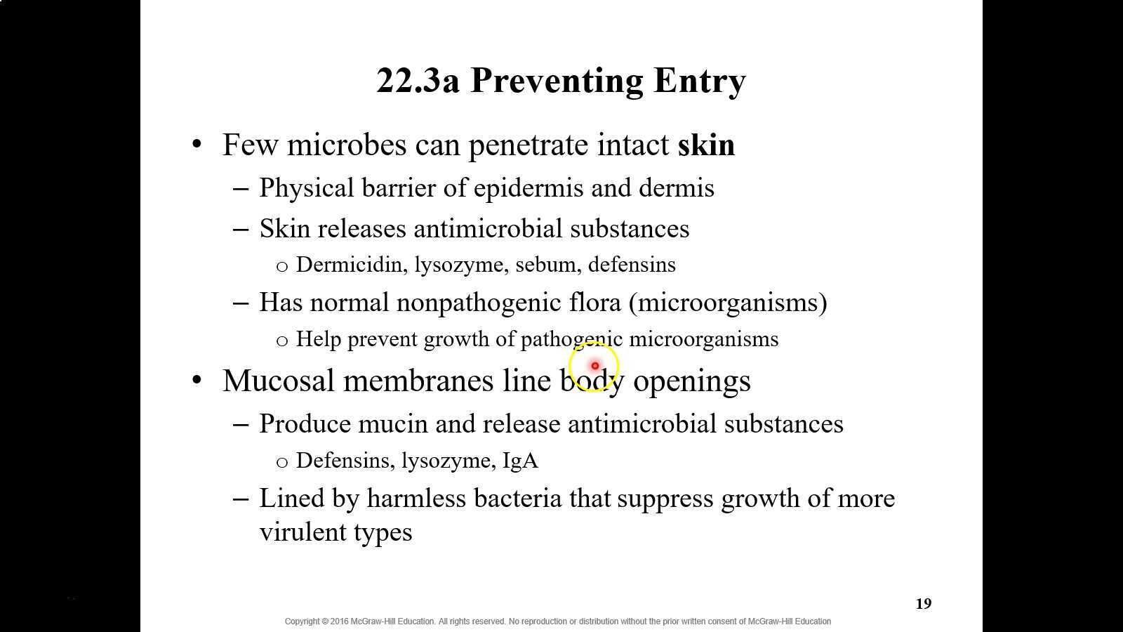 Immune System- Part 3