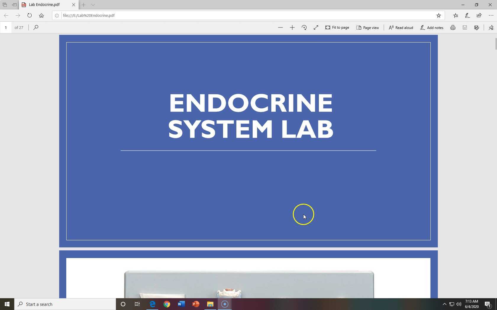 Endocrine System Lab Recording