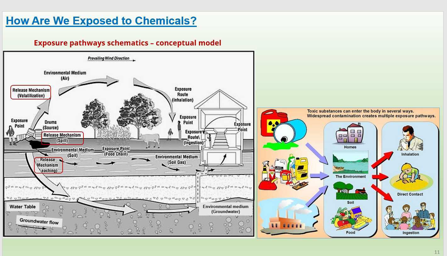 Chemical Exposures