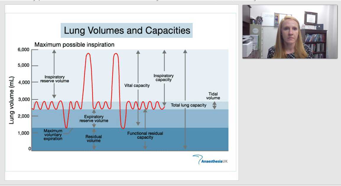 Module 1: Lung Volumes/Capacities & Blood Gases