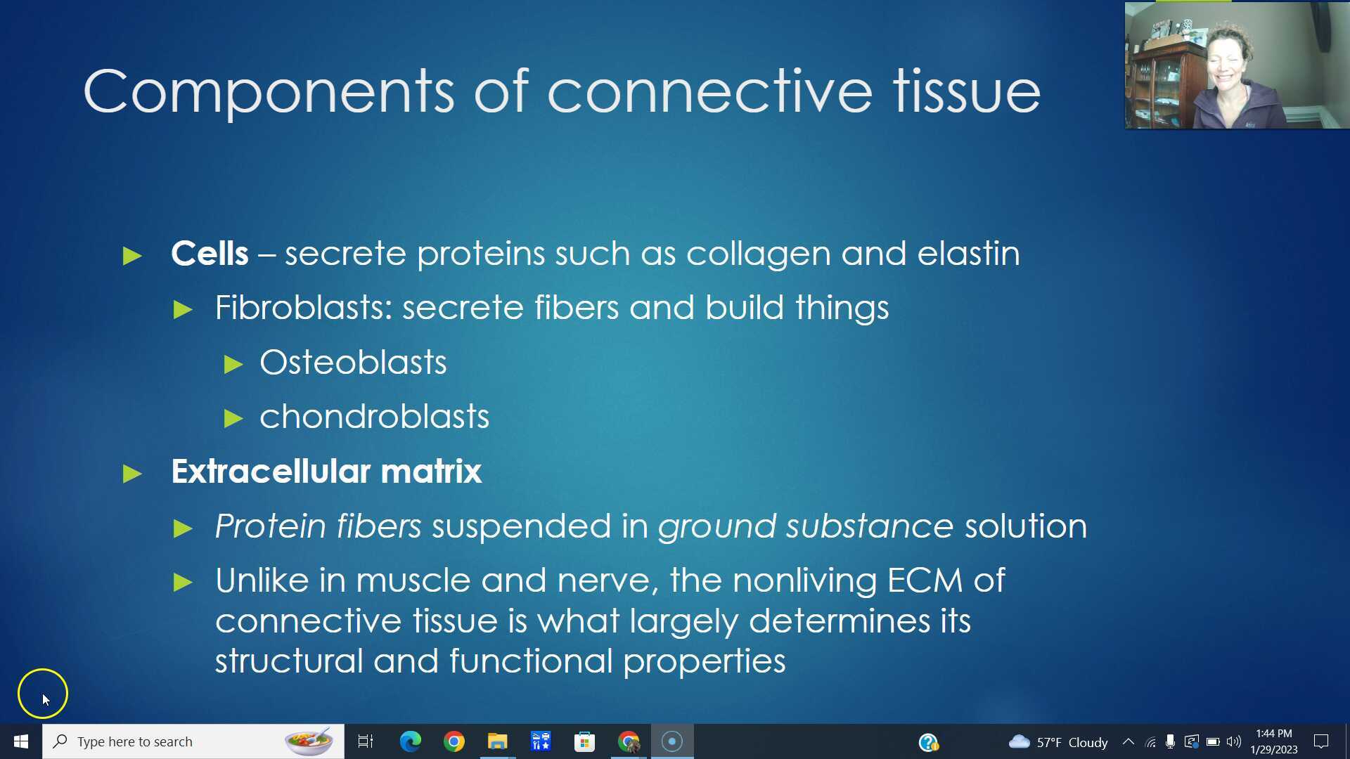 EXSC 315 Lct 3 Connective Tissue Online Lecture