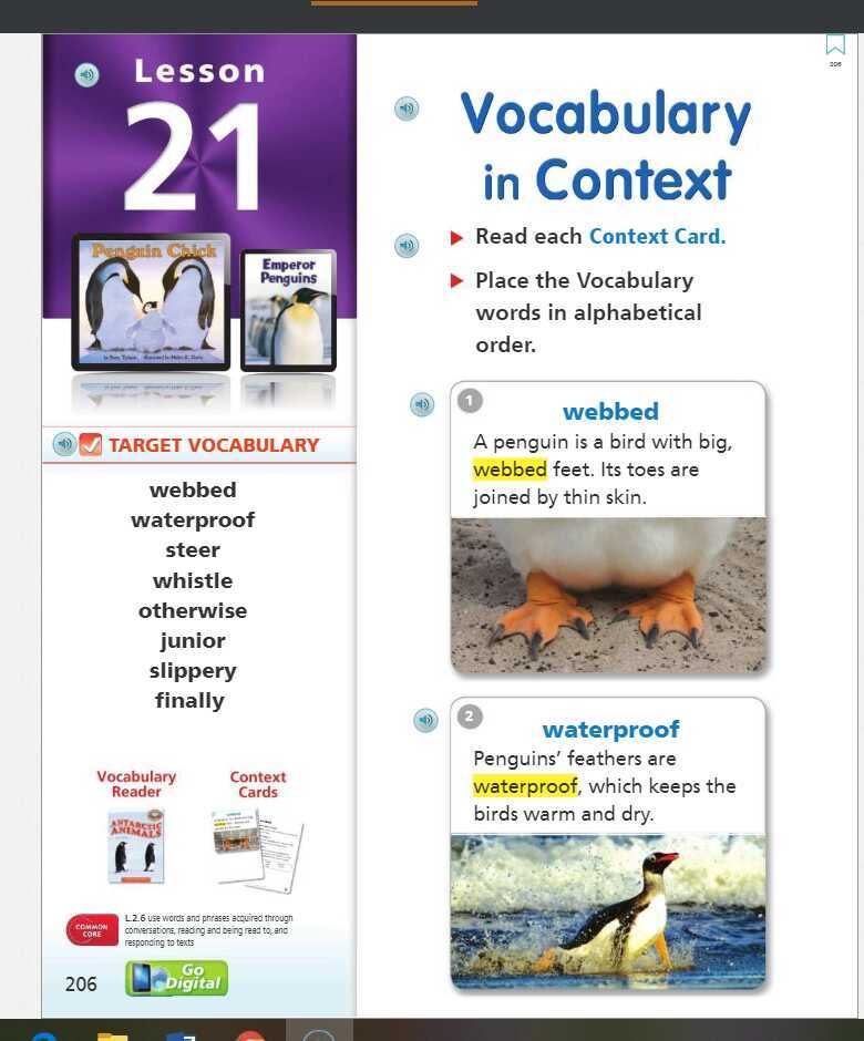 Vocabulary words for Penguin Chick
