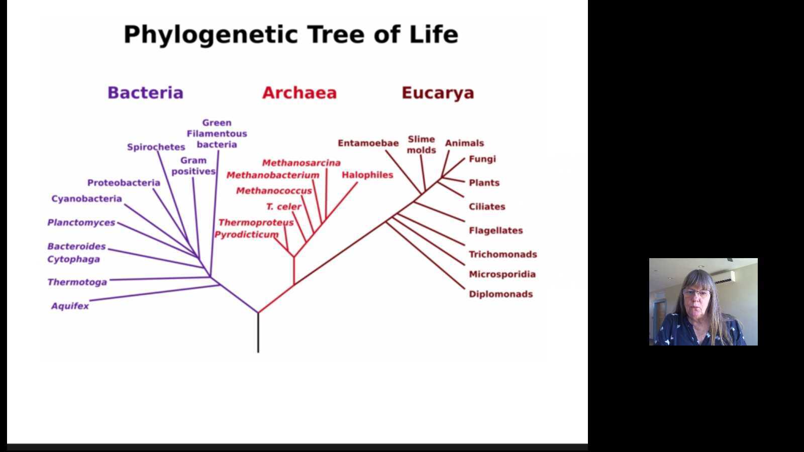 111 Prokar 1 a and b