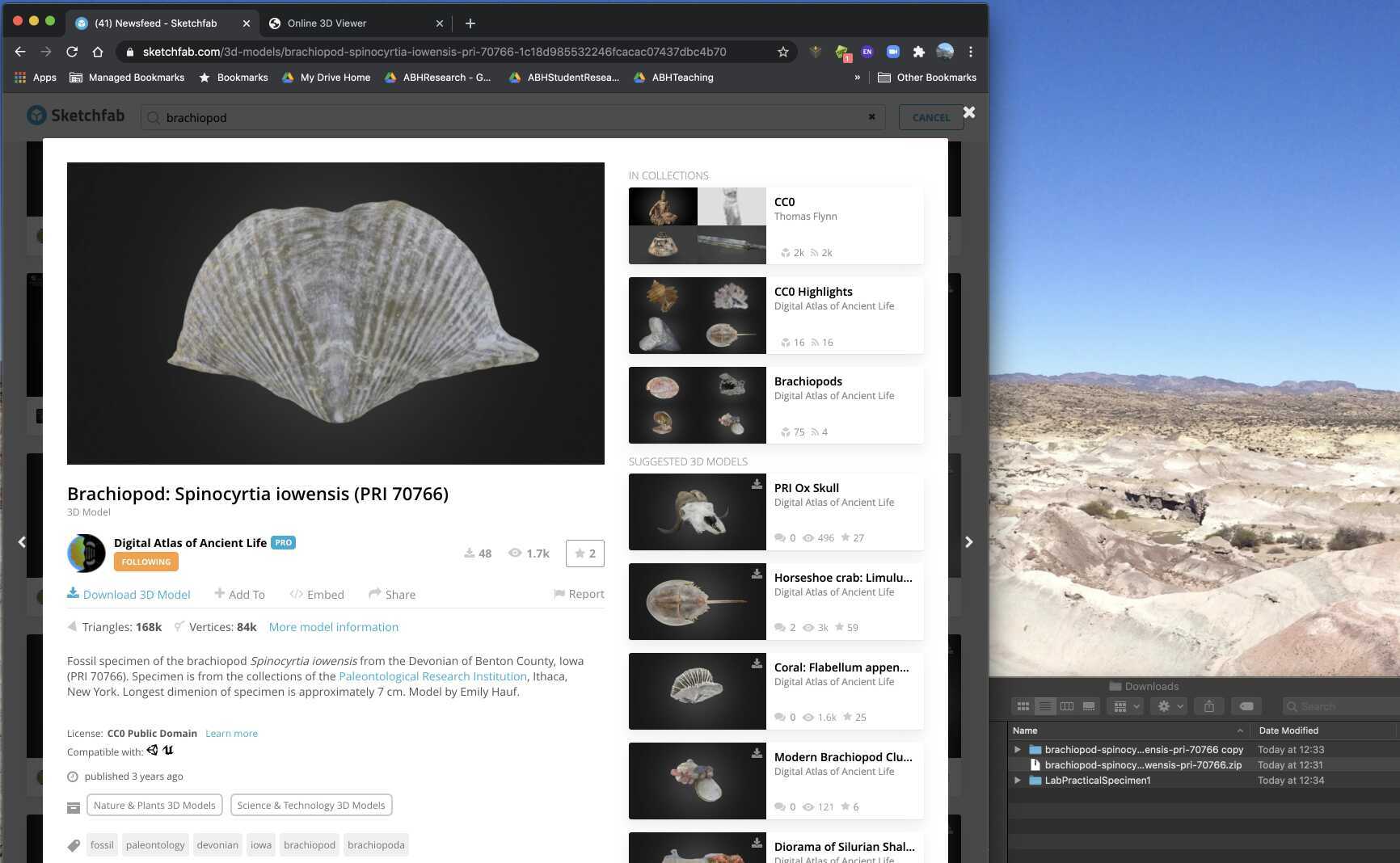 Using online 3d resources for students to identify