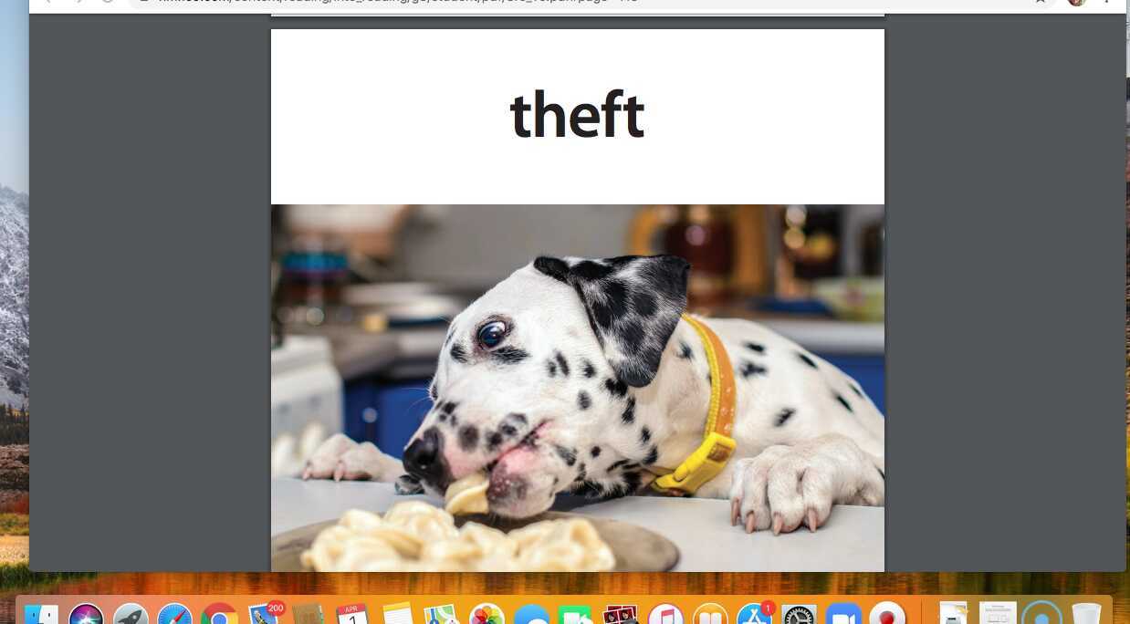 Compay Mono and Comay Jicotea