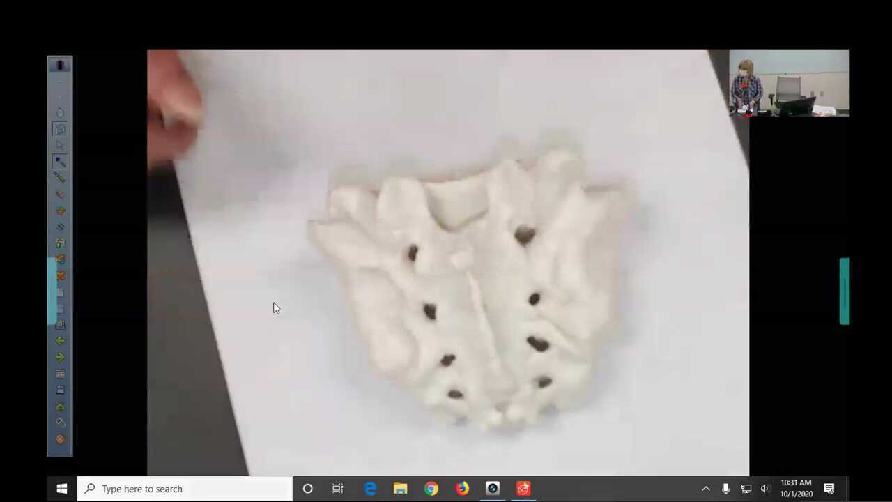 Rib and sacrum video