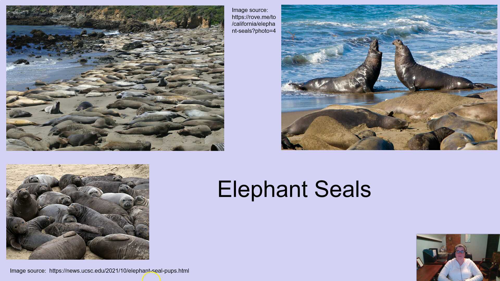 Variance in Reproductive Success