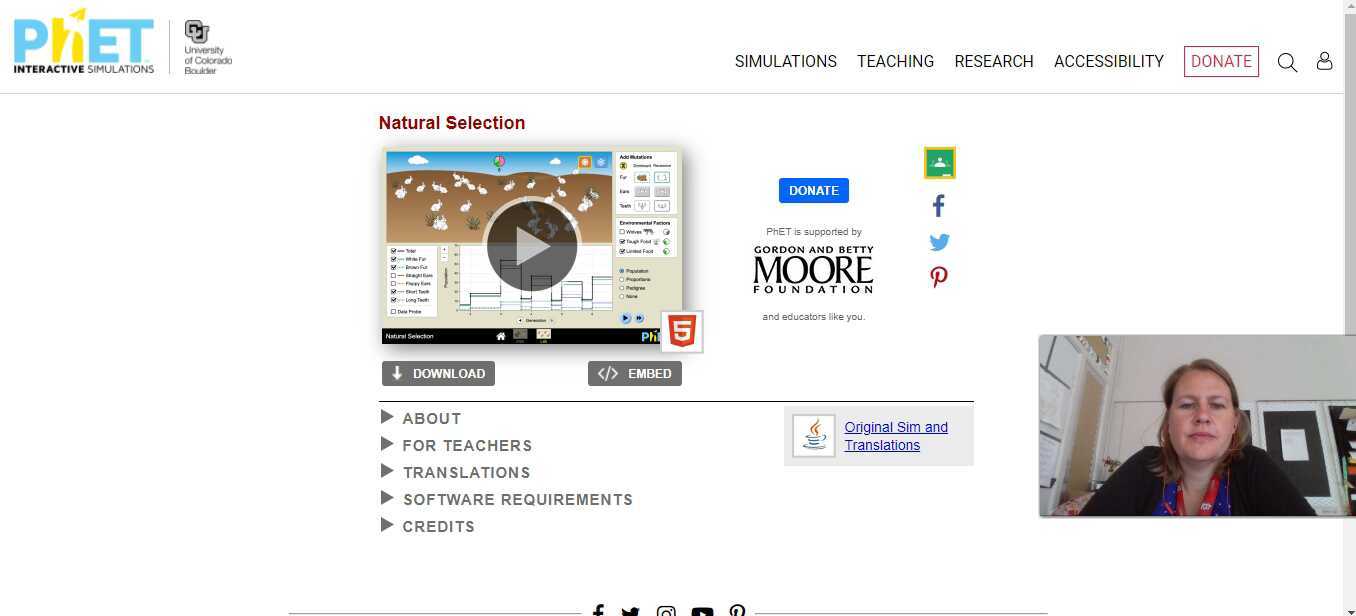 Bunny Lab Directions