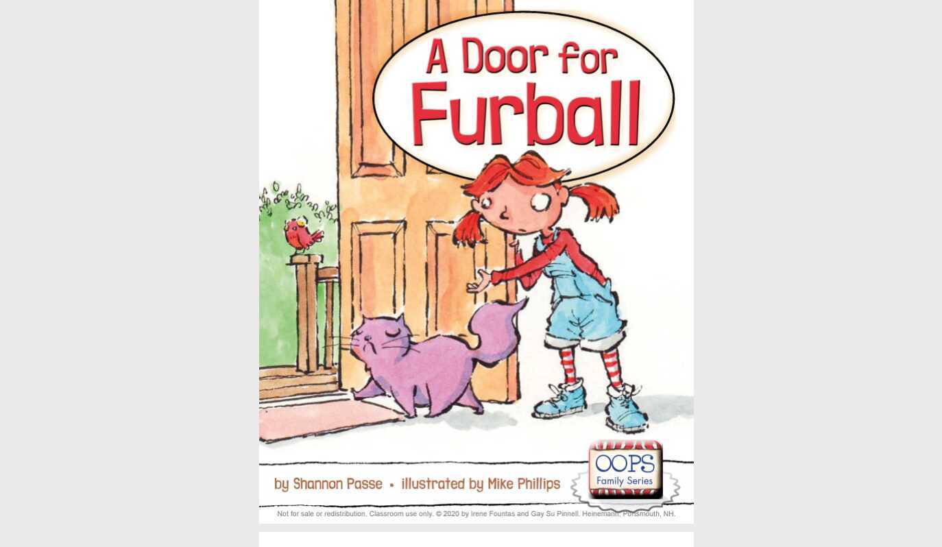 A Door for Furball - 2I
