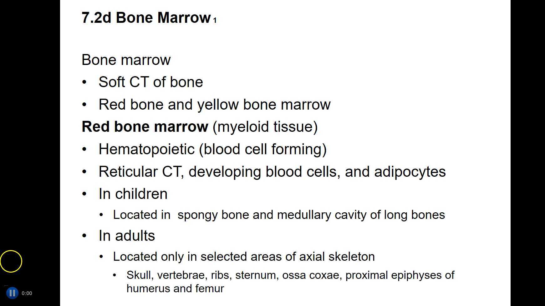 Bone Marrow and Bone Cells