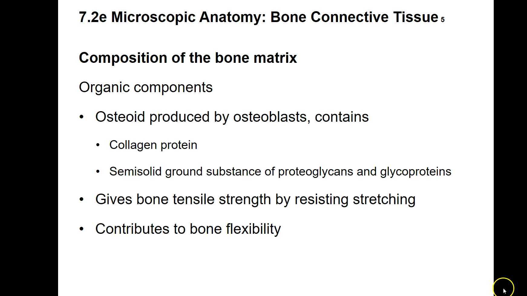 Bone Matrix