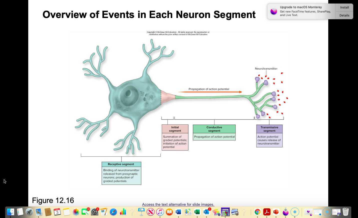 Segments, channels and pumps