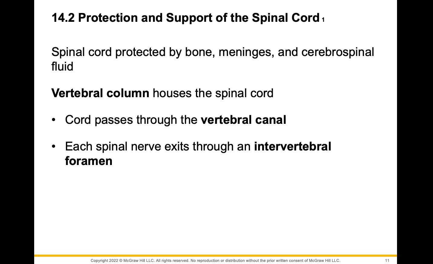 Spinal Cord Protection