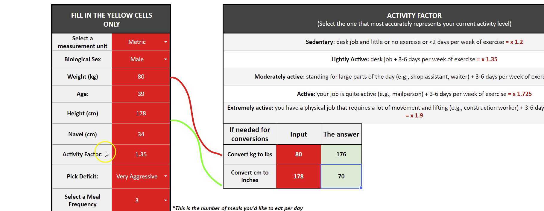 Using The Diet Generator