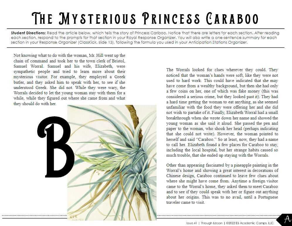 Princess Caraboo - Section B