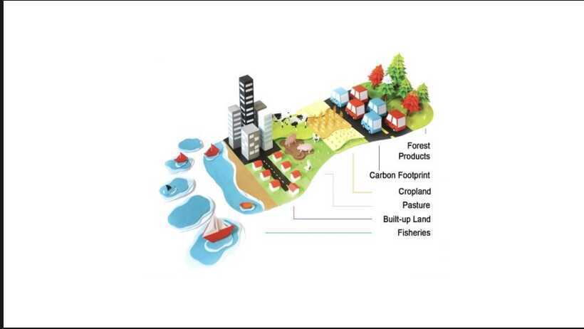 5.11 Ecological Footprint