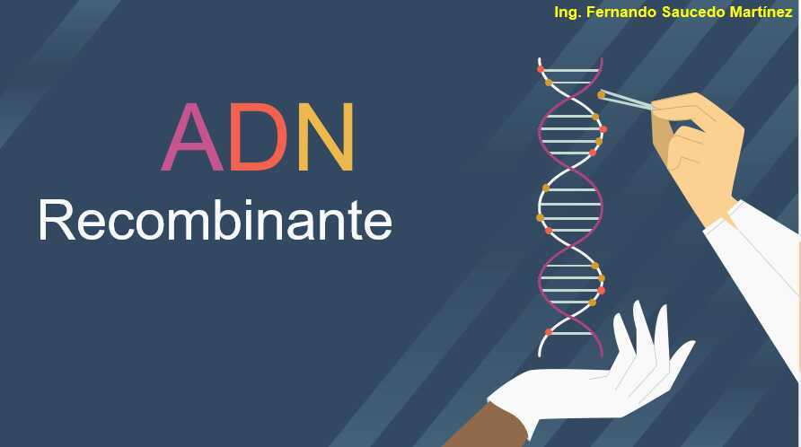 1.- ADN RECOMBINANTE