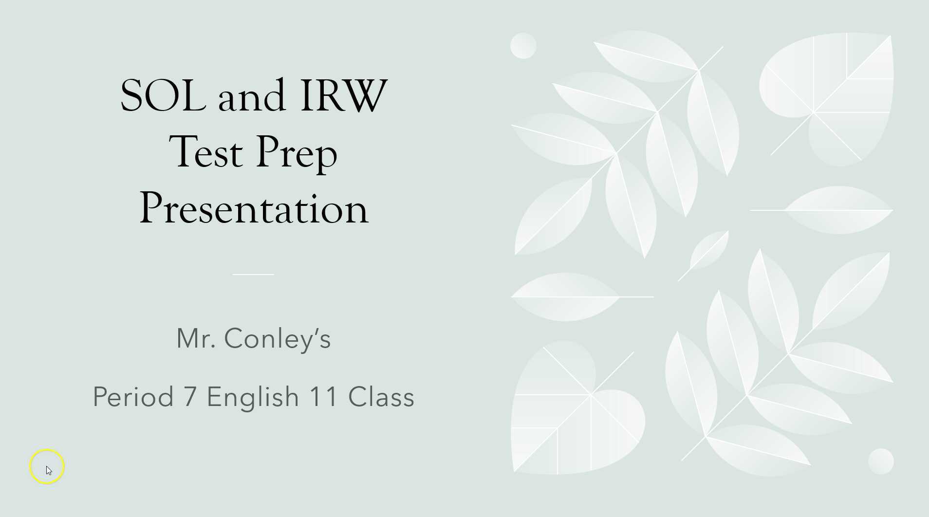 SOL IRW Presentation