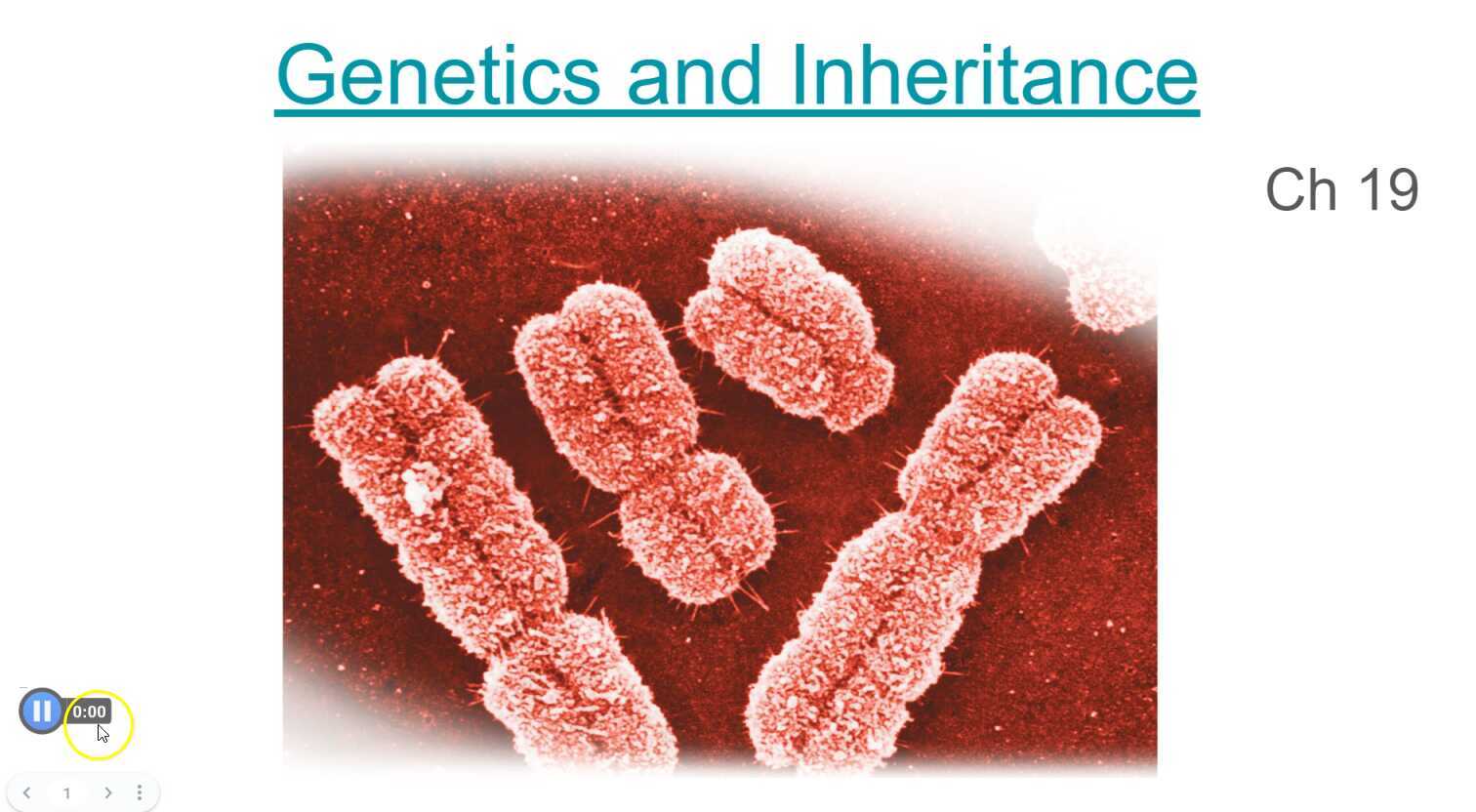 Lecture Friday, April 14, 2023 for Chapter 19. Genetics and Inheritance