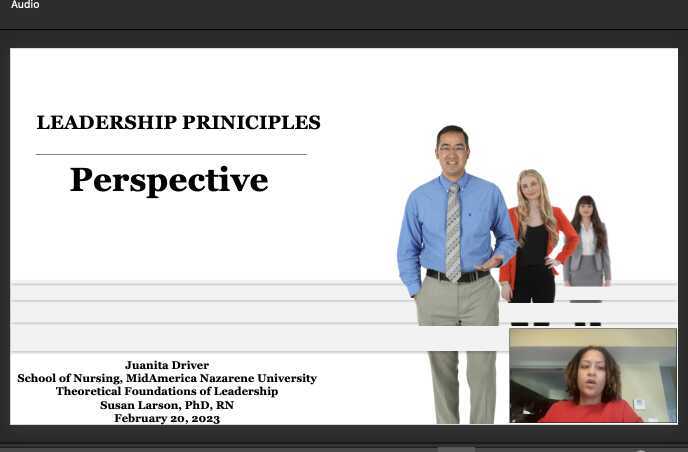 Leadership perspectives