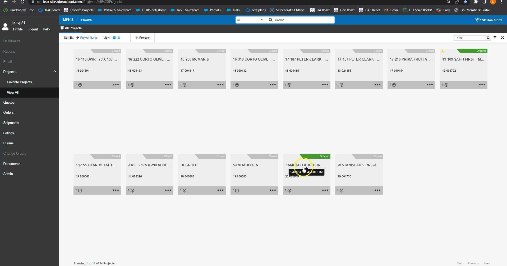 External: BSP Projects - Project Documents Page - Download Functionality