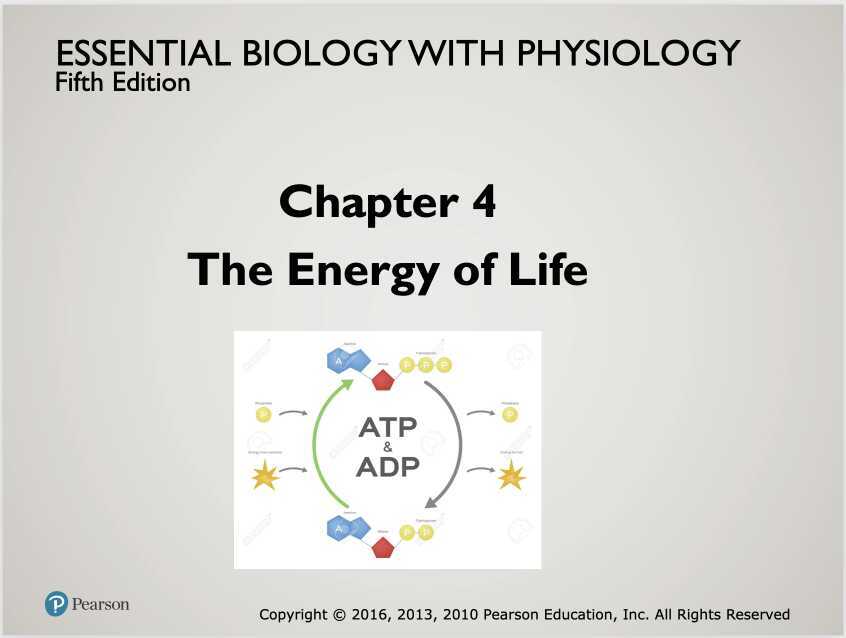 Understanding Cellular Functions: ATP, Enzymes, and Membrane Dynamics