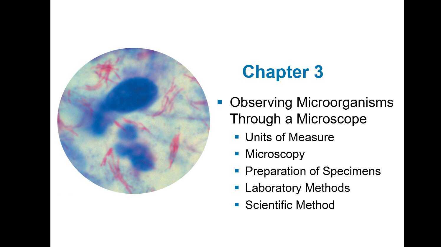 Chapter 3 video 1 microscopes