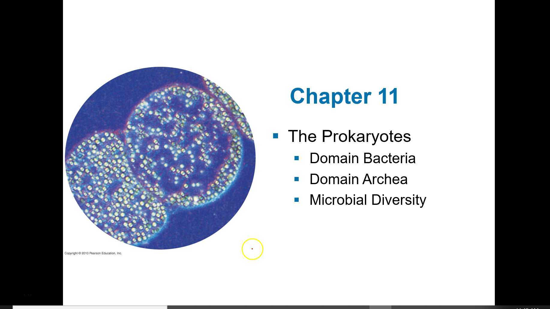 Chapter 11 video 1 Bacteria Phylum proteobacteria