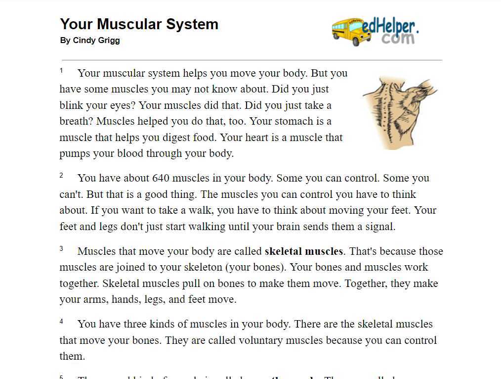 Your Muscular System edHelper by Cindy Grigg