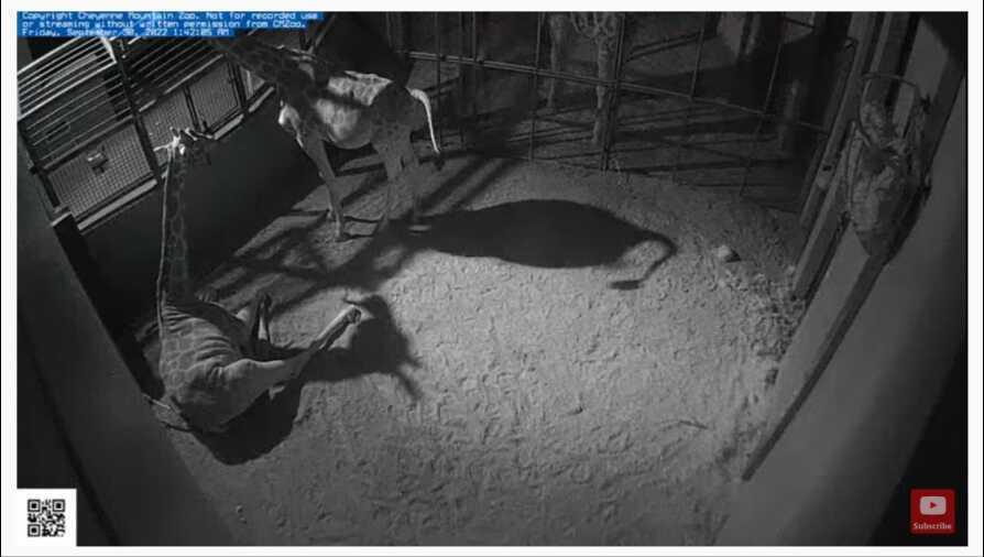 CMZ 2022-09-30 0142-0144