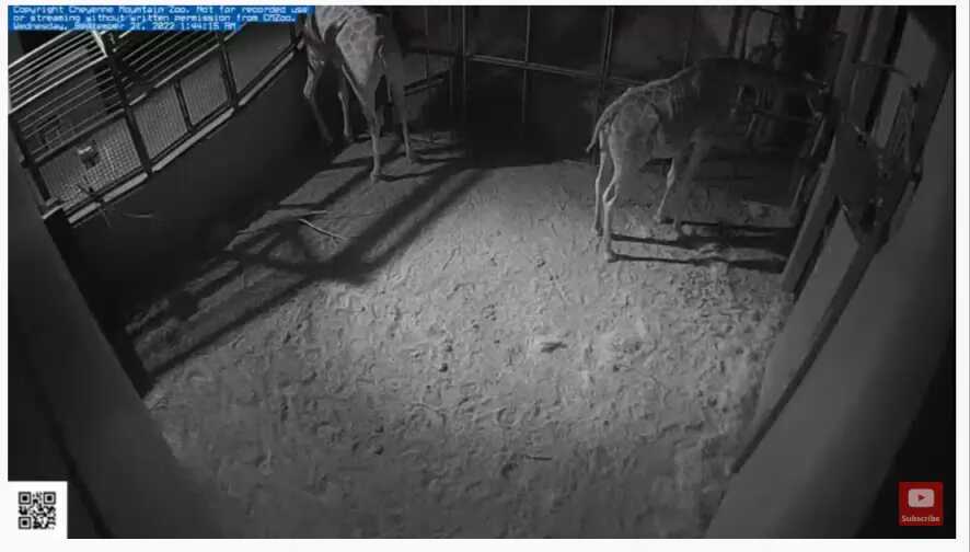 CMZ 2022-09-21 0144-0336