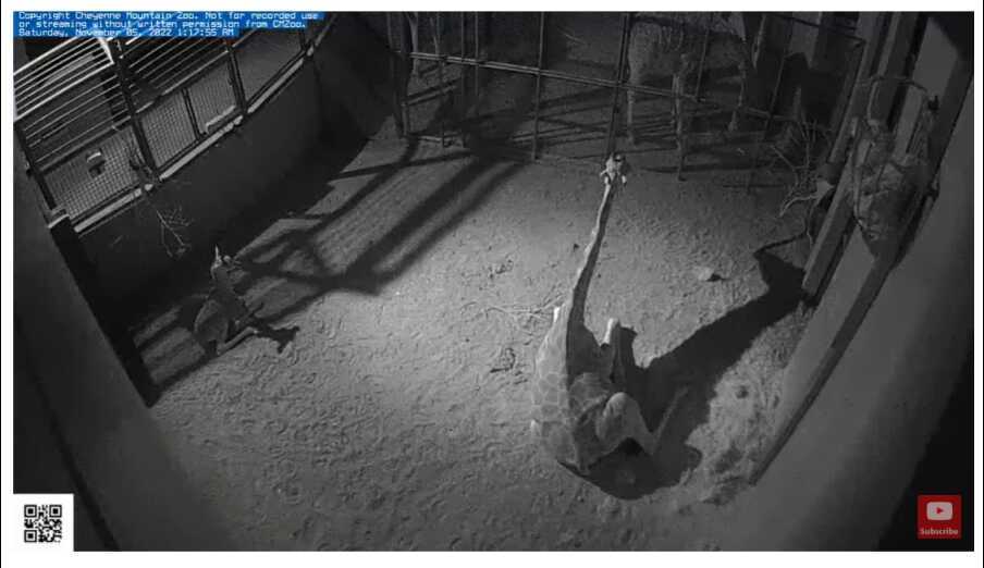 CMZ 2022-11-05 0117-1423 2x unedited