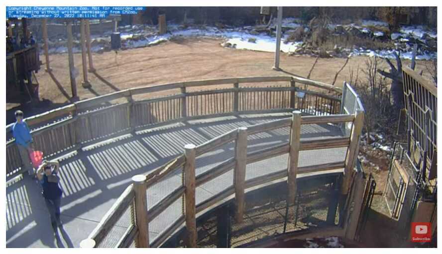 CMZ 2022-12-27 Morning Gate Parade 1011