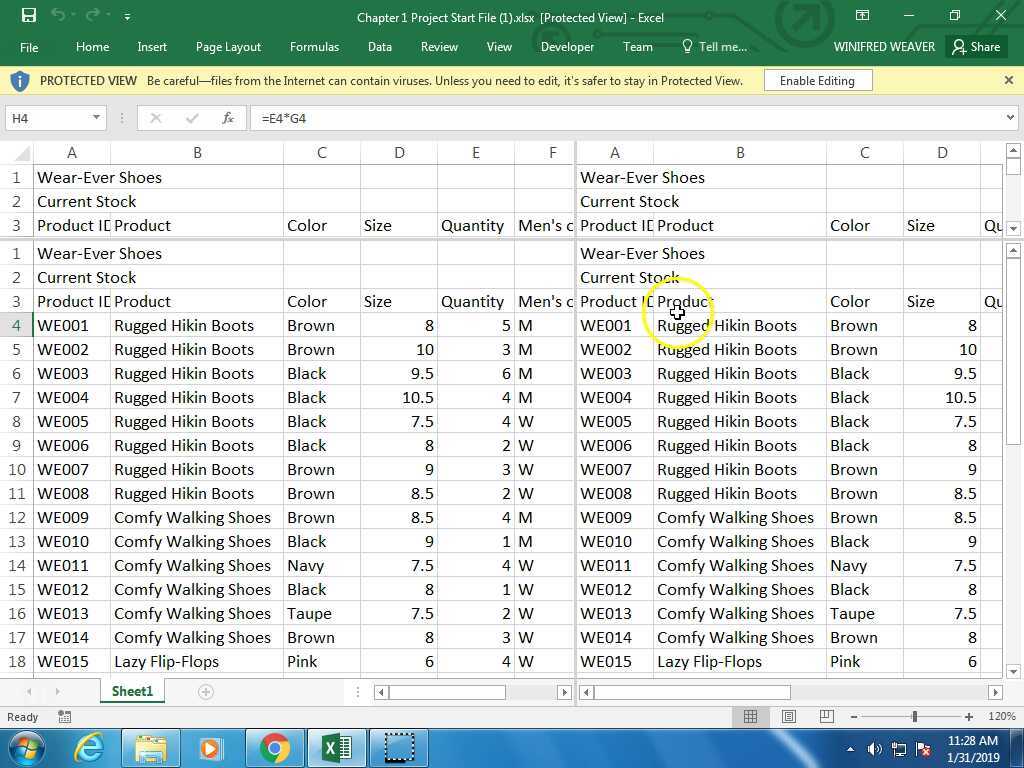 Chapter 1 Excel Project
