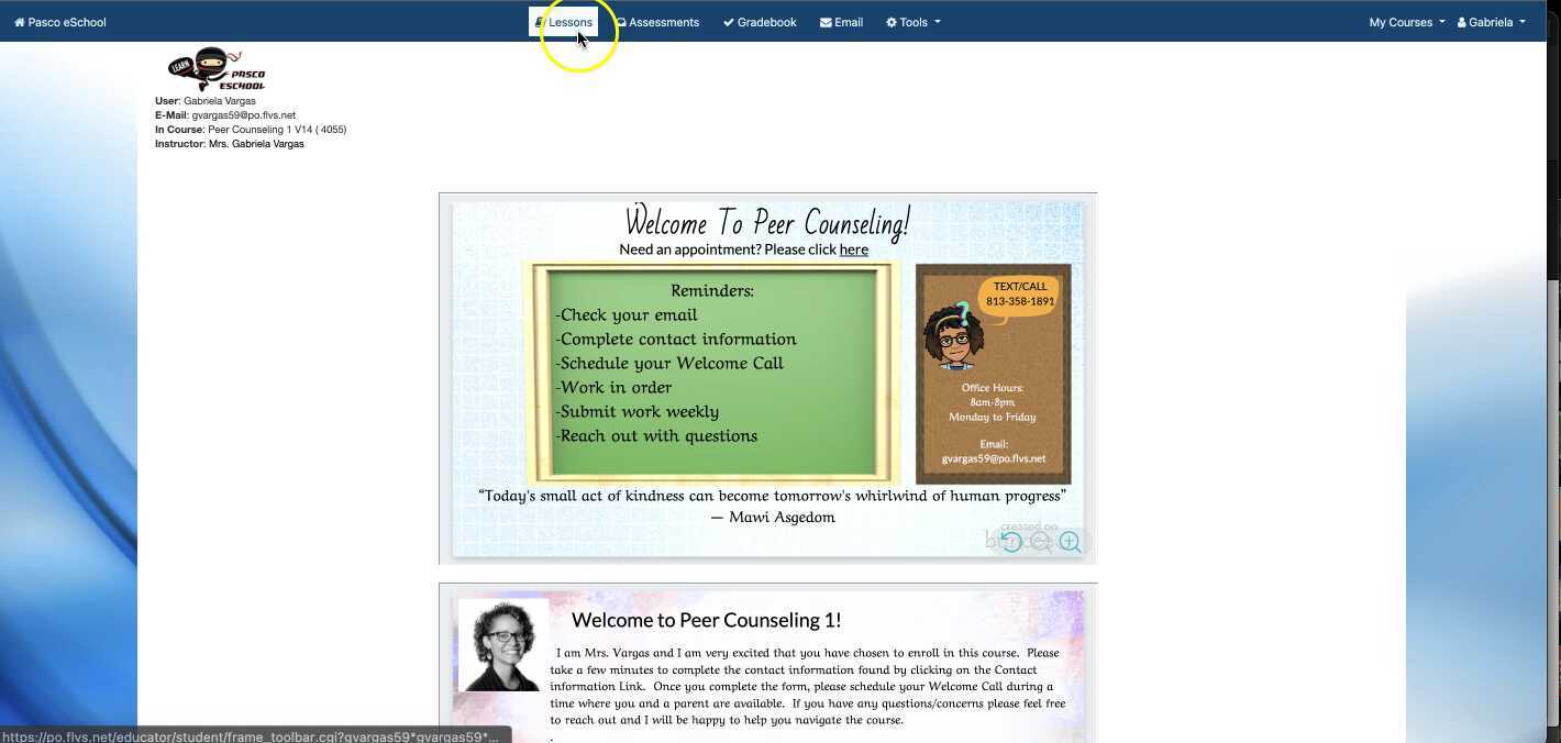 Peer Counseling - Lesson 4 Chart