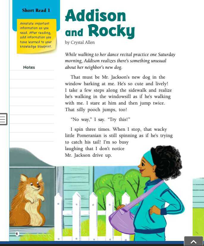 3rd Grade Unit 6 Addison and Rocky (voiced)