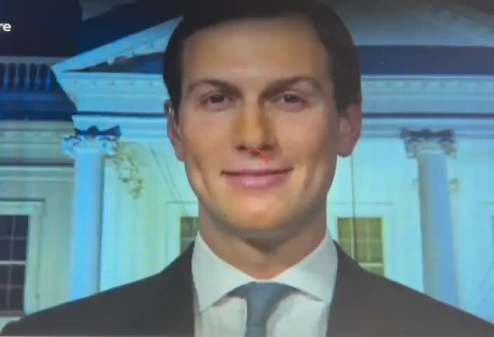 The Political Influence of Charlie Kushner