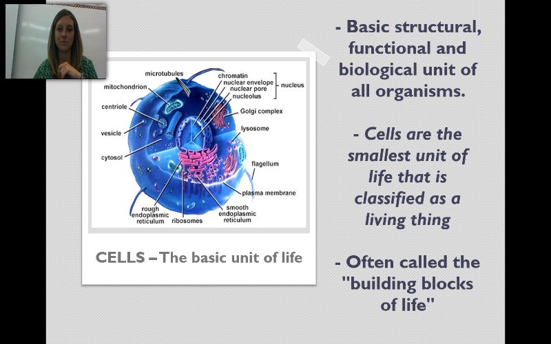 Cell History and Structures