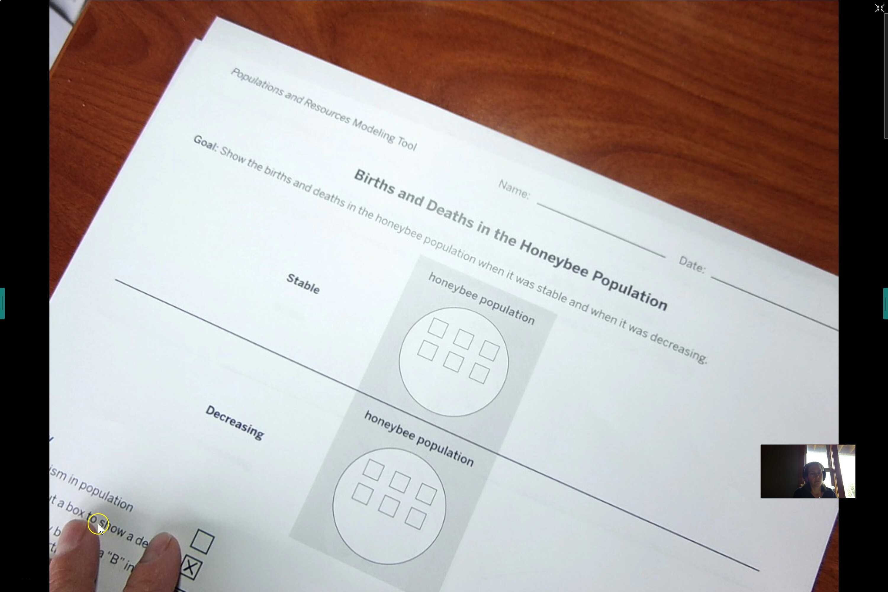 pop 1.4 hw bee pop decreasing